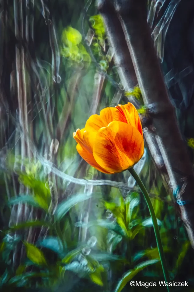 Category: NiSi Reflex Lens | NiSi Optics USA