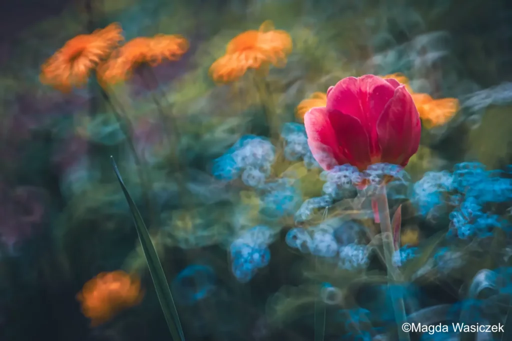 Category: NiSi Reflex Lens | NiSi Optics USA