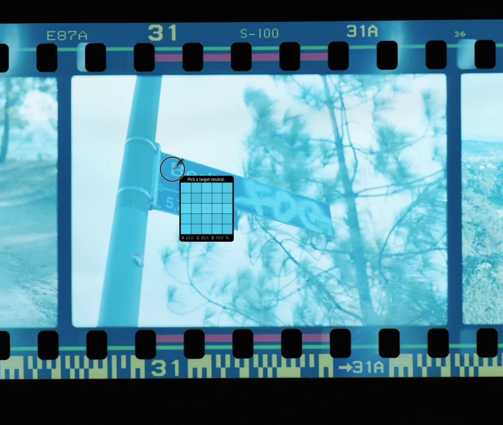 A DIY Guide to Scanning Film Negatives at Home | NiSi Optics USA