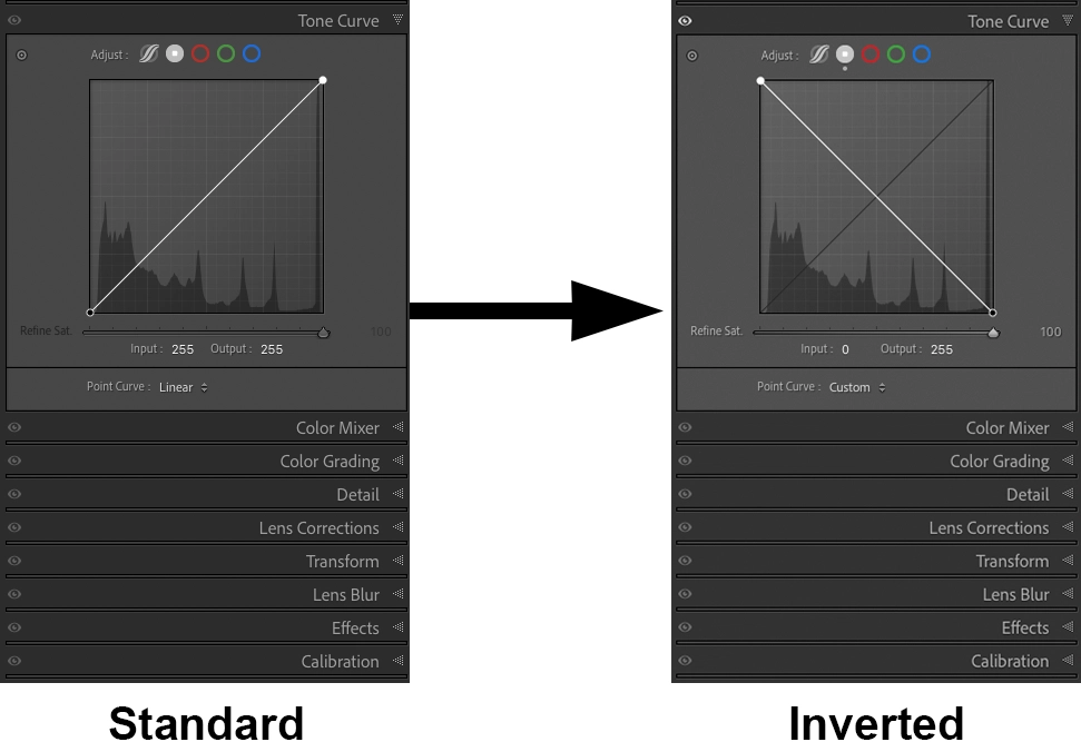 A DIY Guide to Scanning Film Negatives at Home | NiSi Optics USA