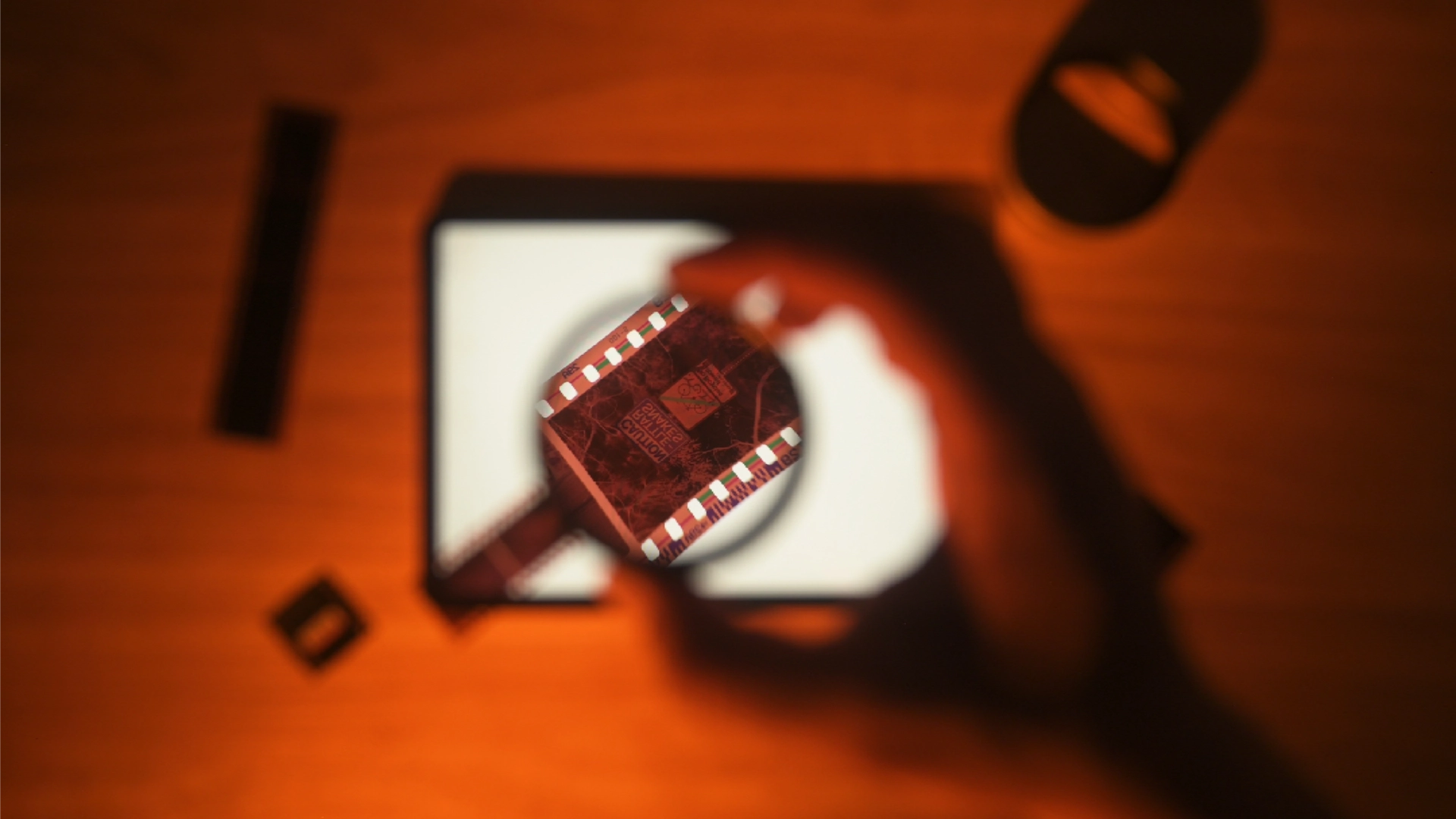 A DIY Guide to Scanning Film Negatives at Home | NiSi Optics USA